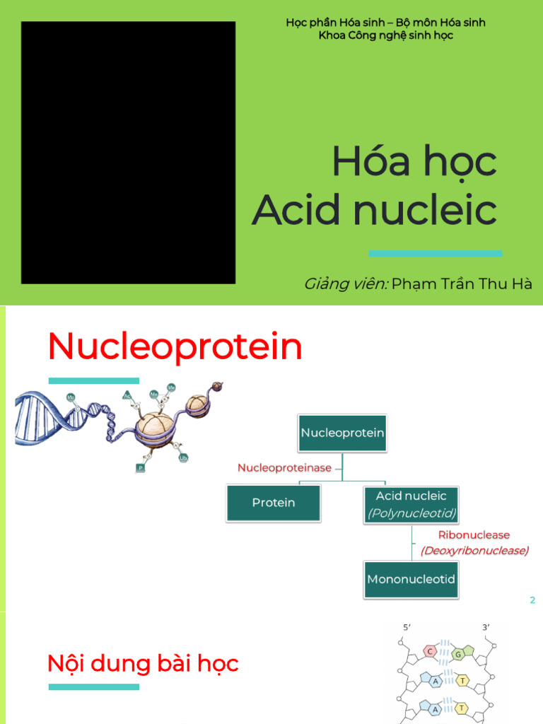 Hoa Hoc Acid Nucleic.k76 | PDF