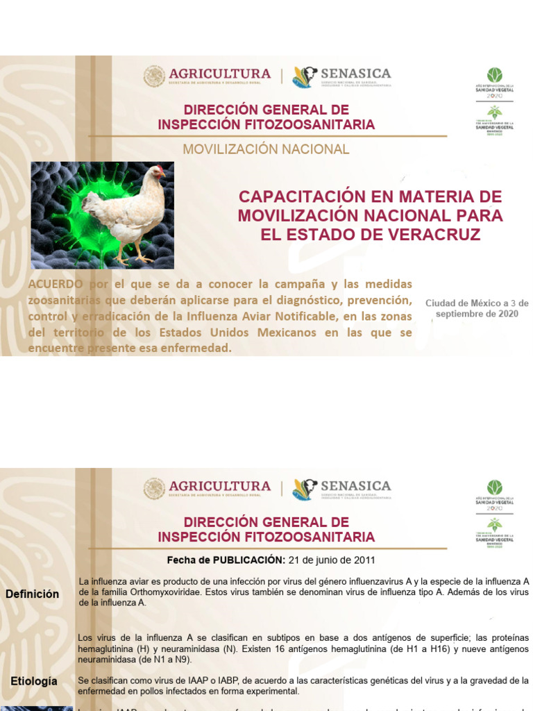 Influenza Aviar | PDF | Virus de la Influenza A Subtipo H1 N1 | Influenza
