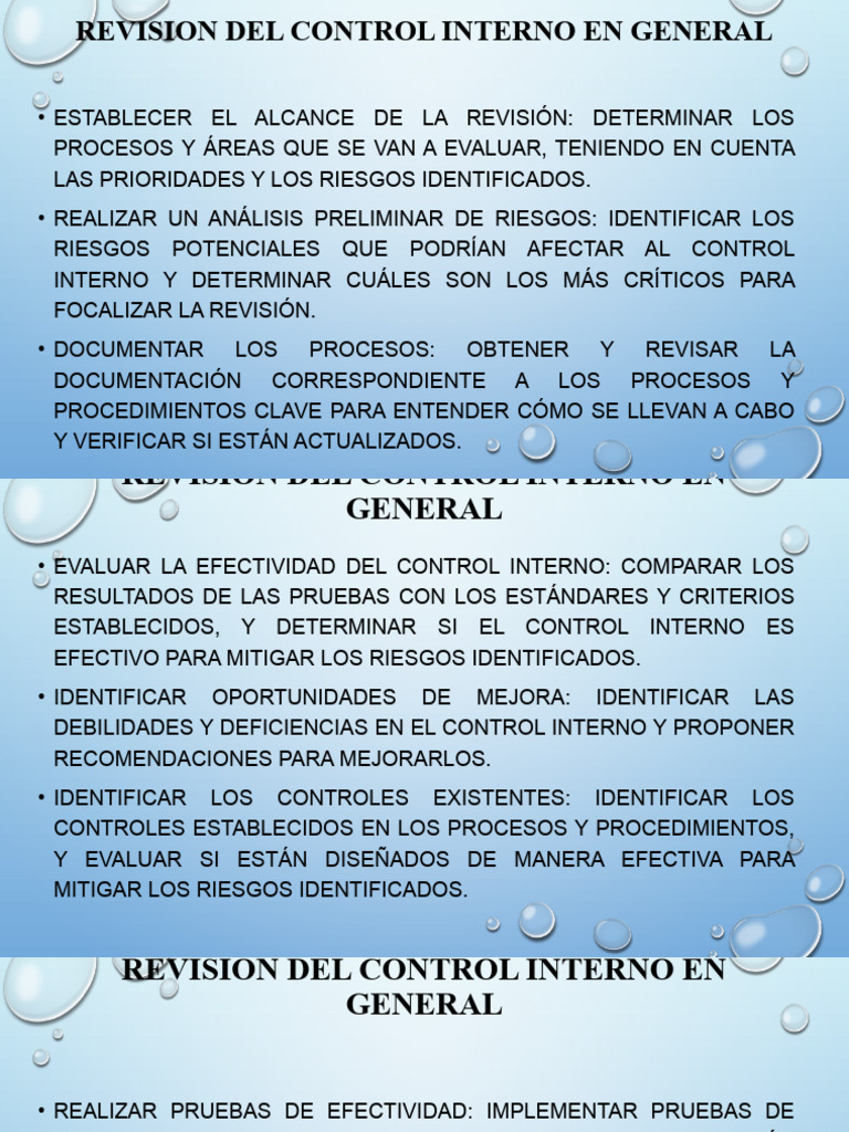 Tema Revision Del Control Interno | PDF | Bancos | Business