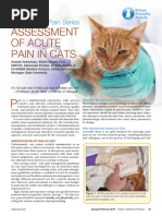 CSU Canine Acute Pain Scale Guide | PDF | Pain | Diseases And Disorders