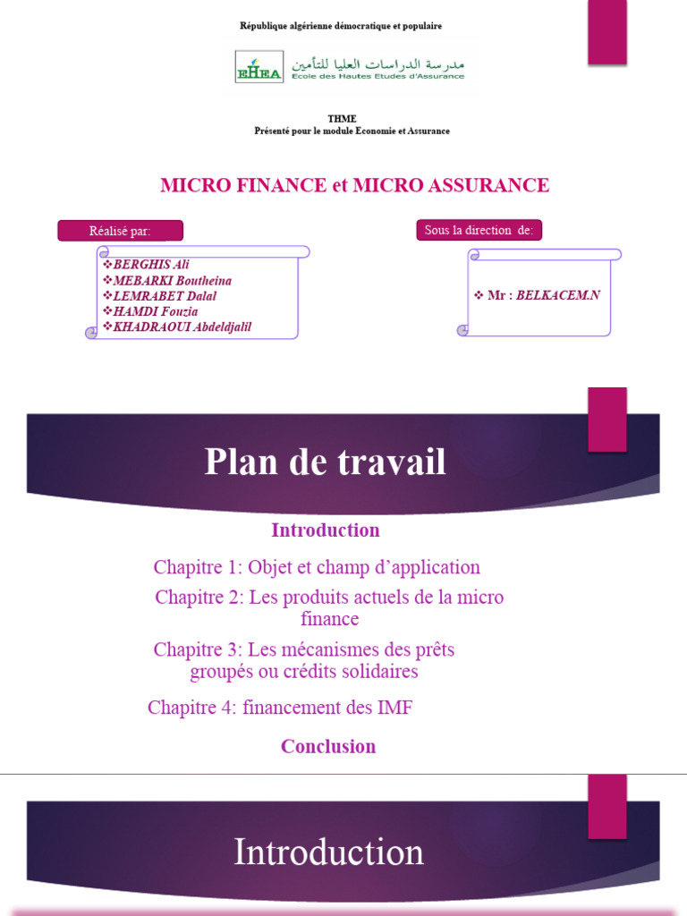 Exposé Micro - Copie BATHBOUTHA22222333333 | PDF | La microfinance | Assurance