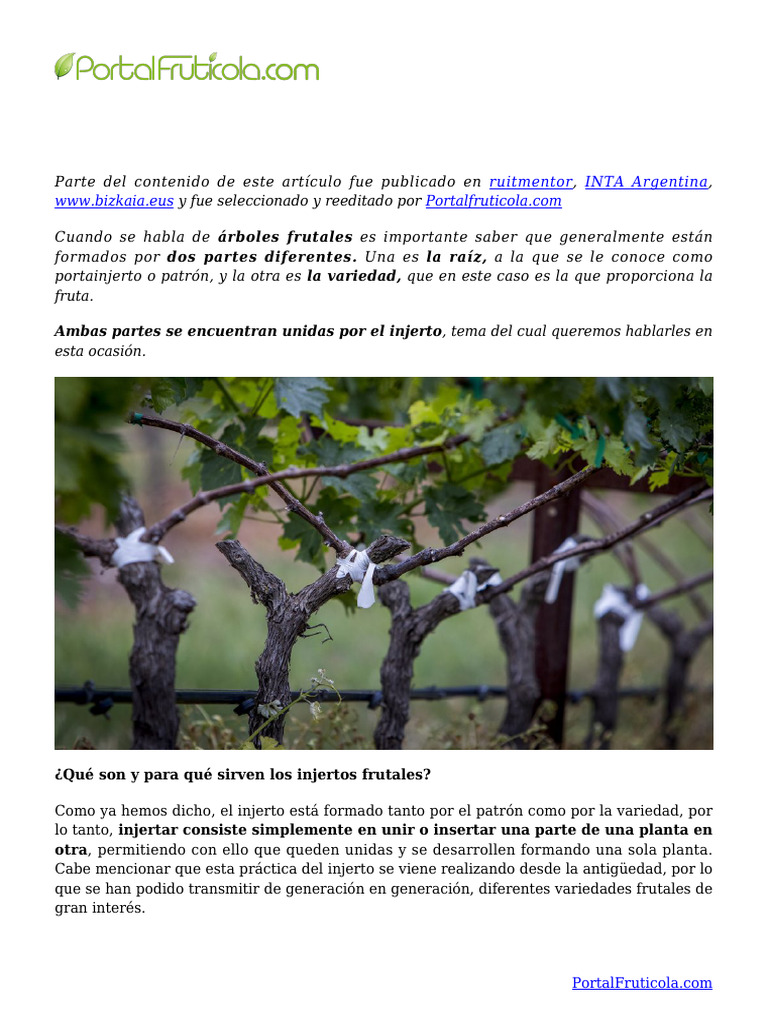 Injertos Frutales: Guía Completa y Tipos | PDF | Injerto | Fruta