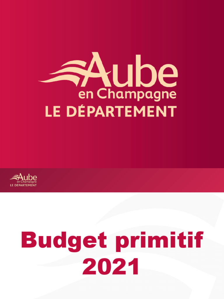 BP 2021 Synthese | PDF | Budget | Économie