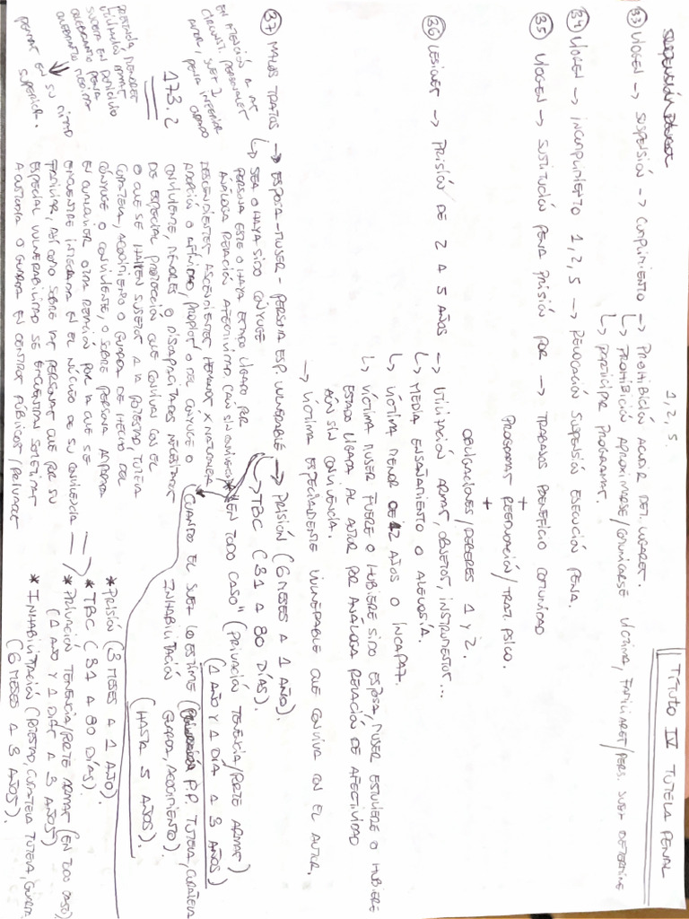 Esquema Viogen | PDF