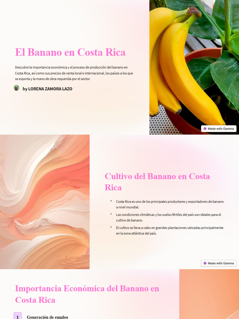 Economía del Banano en Costa Rica | PDF | Agricultura | Costa Rica