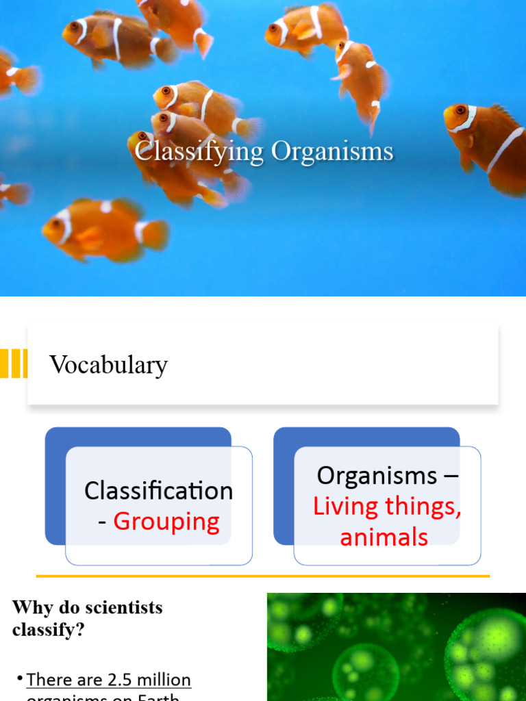 Classifying Organisms | PDF