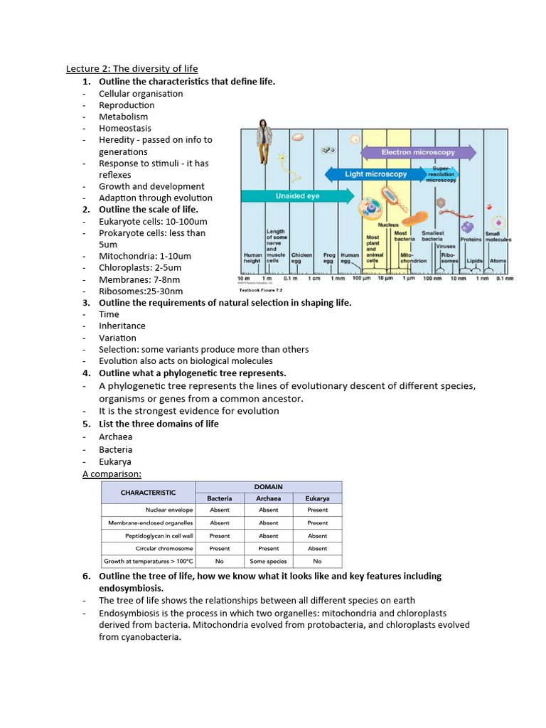 1 - Cell Structure and Diversity | Download Free PDF | Mitochondrion ...