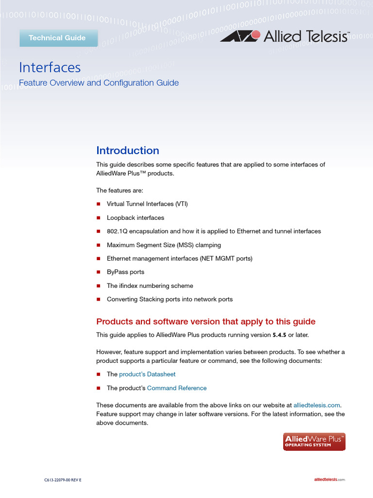 Interface Feature Overview Guide | PDF | Transmission Control Protocol | I Pv6
