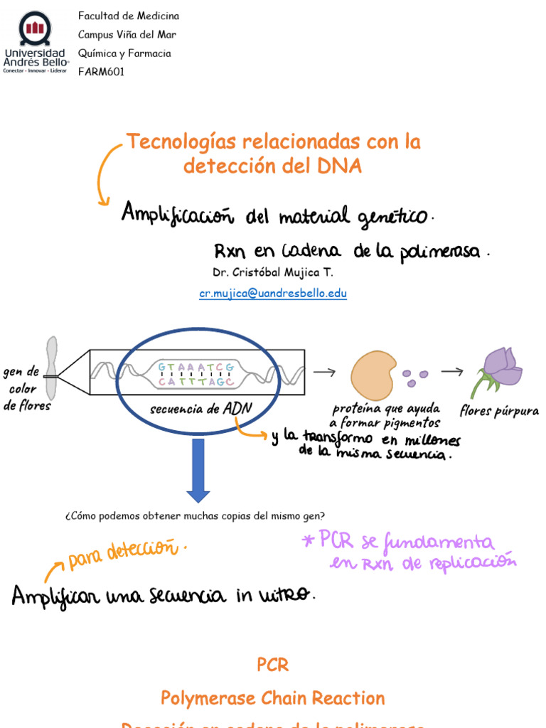 Clase 4 Técnicas Biología Molecular PCR | PDF | Reacción en cadena de ...