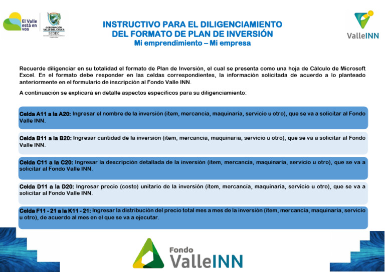 Instructivo Plan de Inversion | PDF