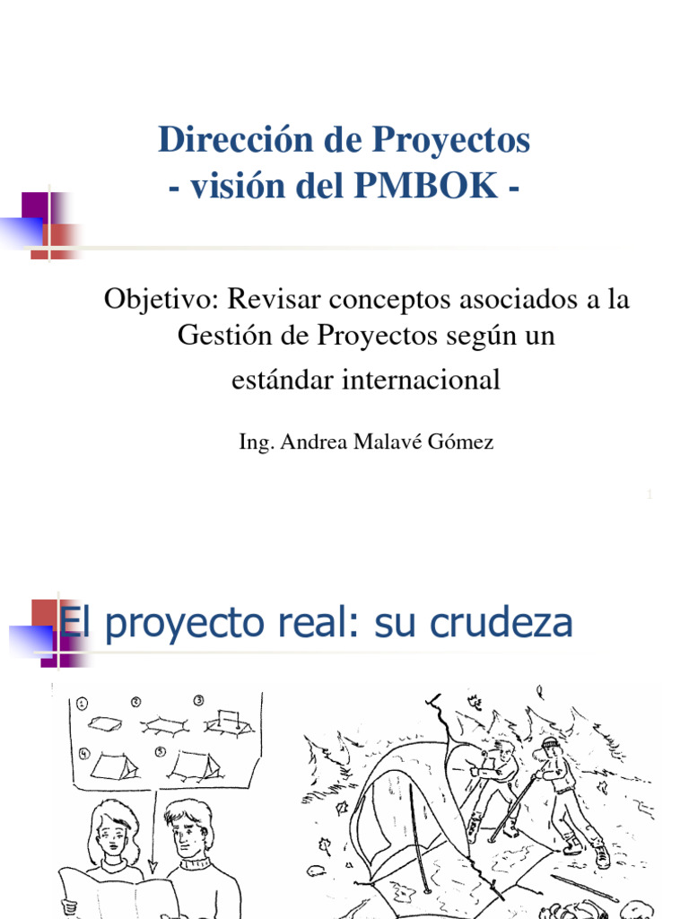 Gestión de Proyectos según PMBOK | PDF | Gestión de proyectos | Business