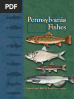 Kentucky Fish Species Guide | PDF | Fish | Aquatic Animals