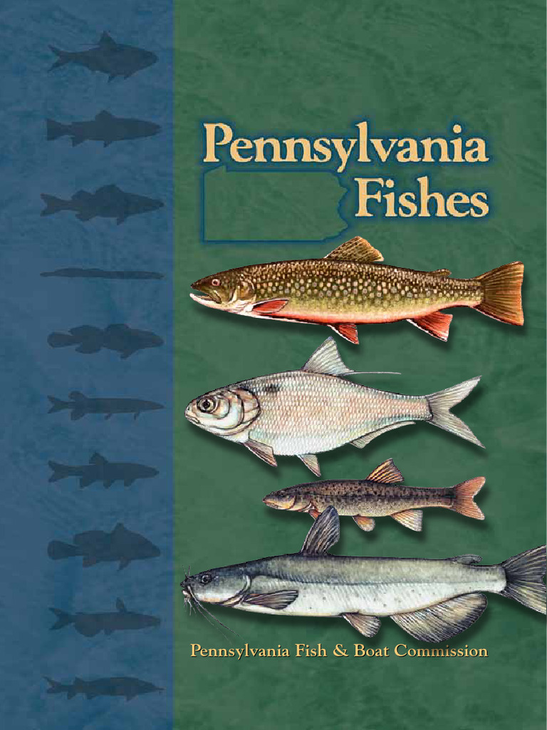 PA Fishes Book | PDF | Fish | Egg
