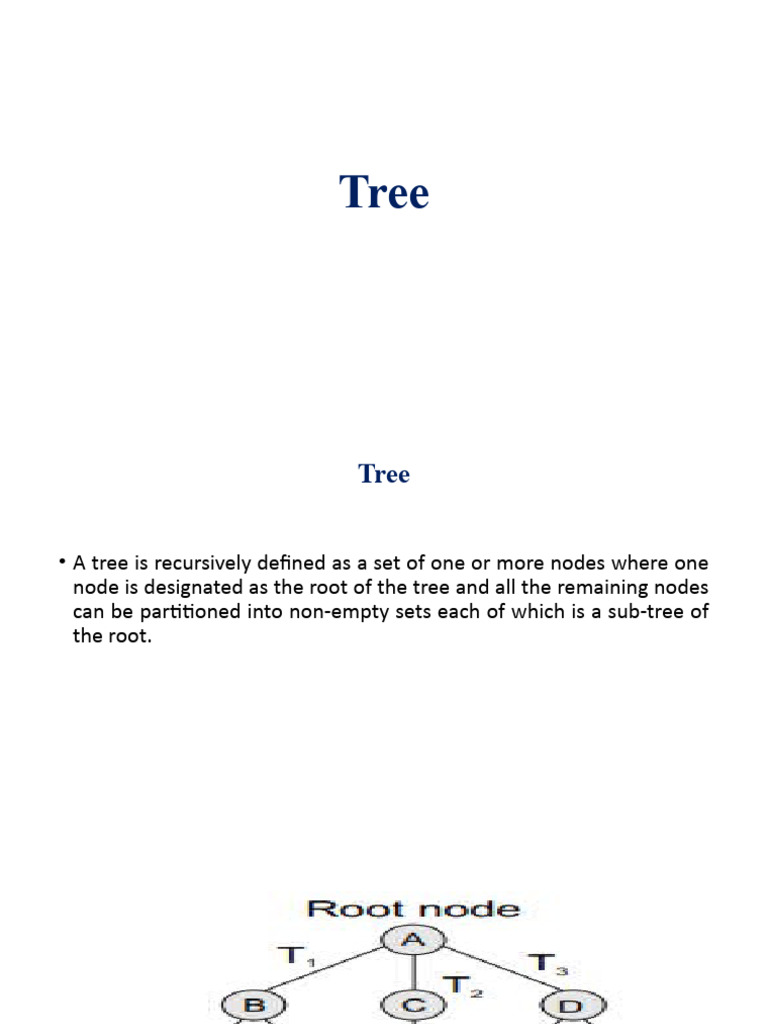 Tree | Download Free PDF | Algorithms And Data Structures | Computer Data