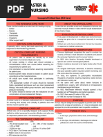 RCS Version 13: Application Guide | PDF | Physical Therapy | Therapy