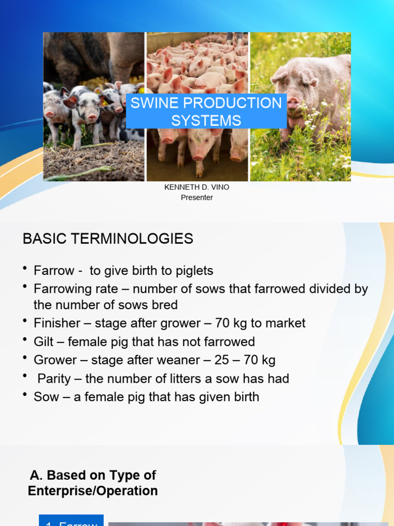 Swine Production Systems | PDF | Pig | Food And Drink