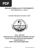 Understanding Phyllotaxy Patterns | PDF | Leaf | Plants
