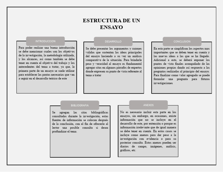 Estructura de Un Ensayo | PDF | Ensayos | Cognición
