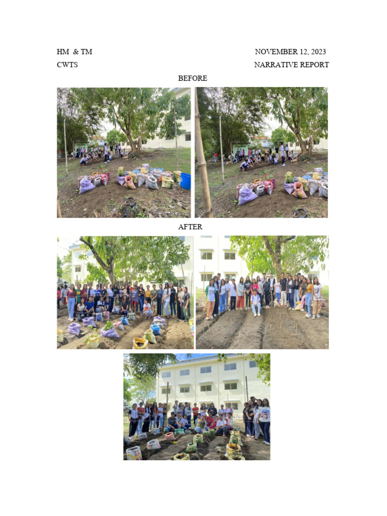 NSTP-CWTS Vegetable Planting Report | PDF | Home & Garden | Science ...