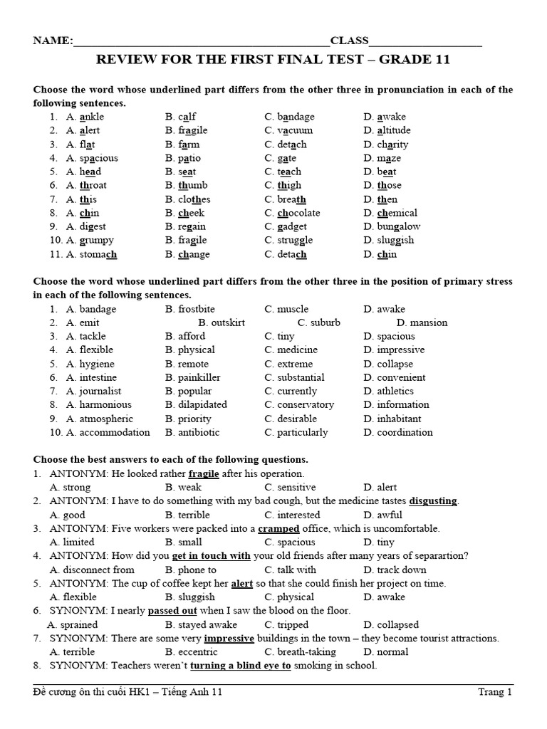 Antonyms and Stress Patterns Review | PDF