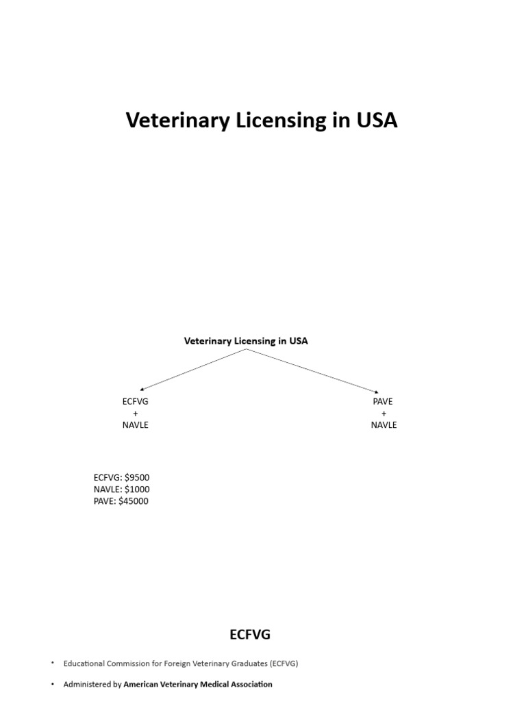 Ecfvg Vs Pave | PDF | International English Language Testing System ...