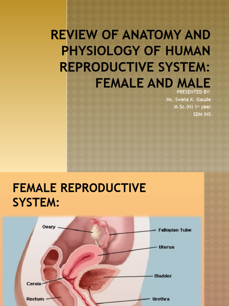 Review of Anatomy and Physiology of Human Reproductive | PDF