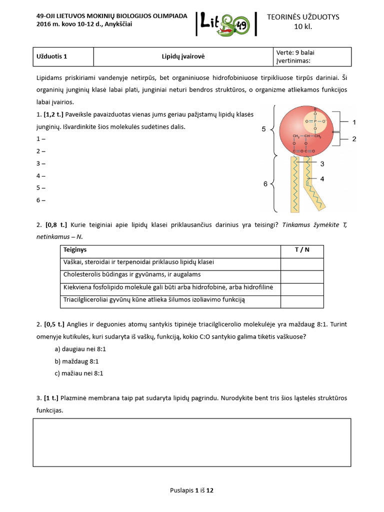 FINAL TEOR 10kl Strukt | PDF