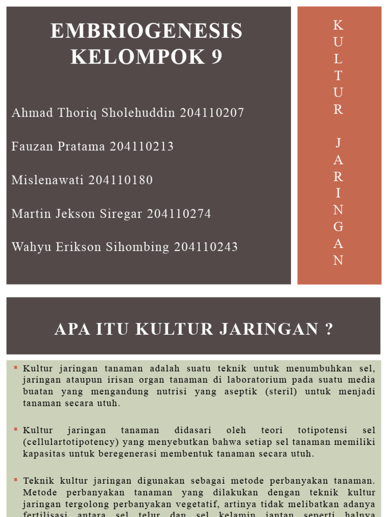 Embriogenesis Kel 9 | PDF