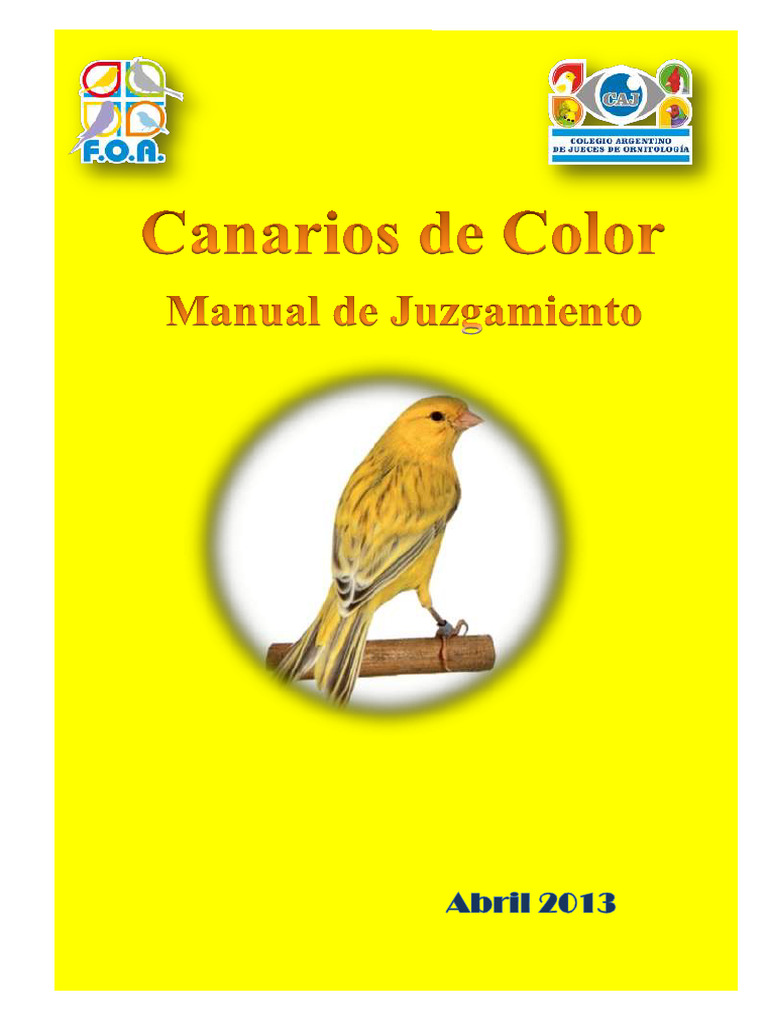 Manual Canarios de Color 2013 | PDF | Color | Pluma