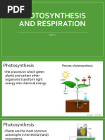 Photosynthesis: Key Concepts & Processes | PDF | Photosynthesis ...