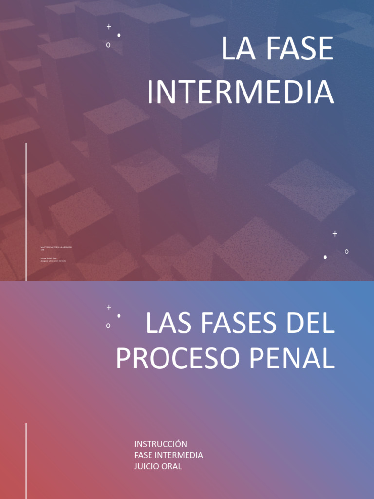 La Fase Intermedia | PDF | Fiscal | Apelación