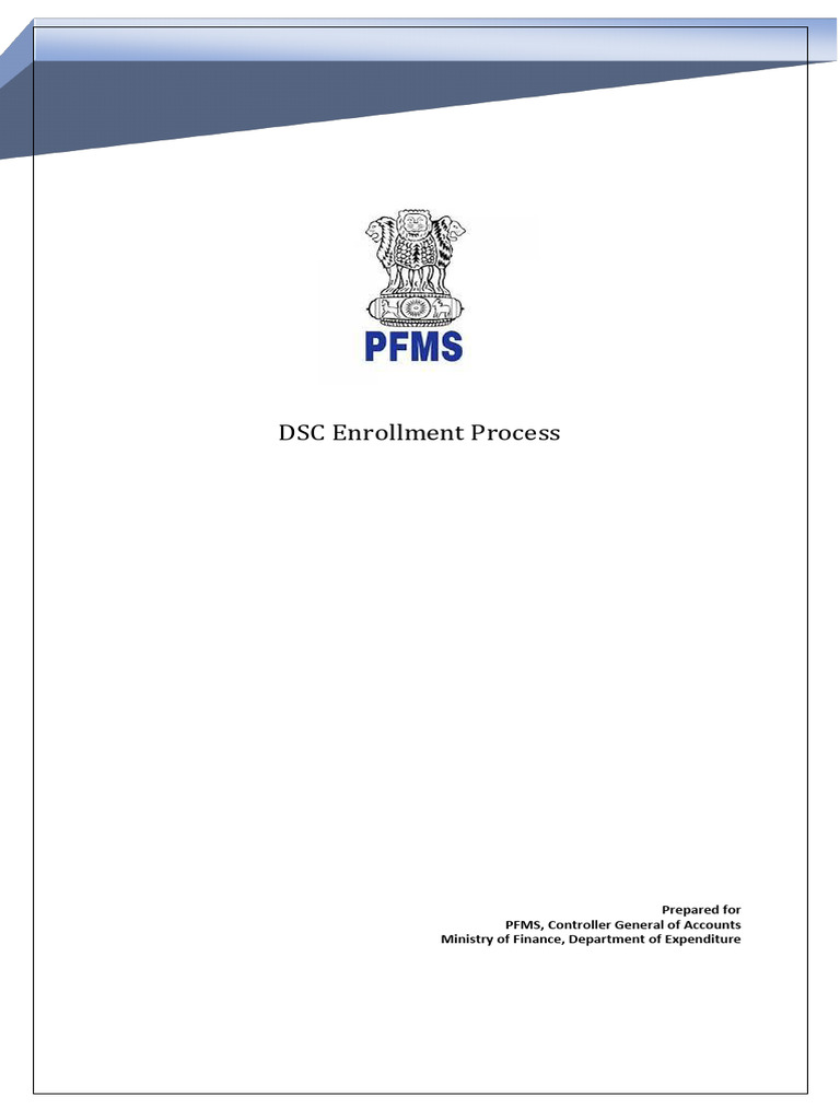 DSC Signing Process User Manual | PDF | Computing | Software