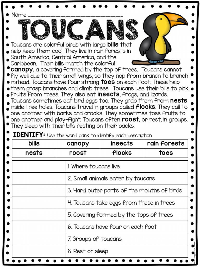 Toucans | PDF | Birds | Nest