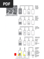 Pews Observation and Escalation Chart 5 12 Years Updated | PDF | Blood ...