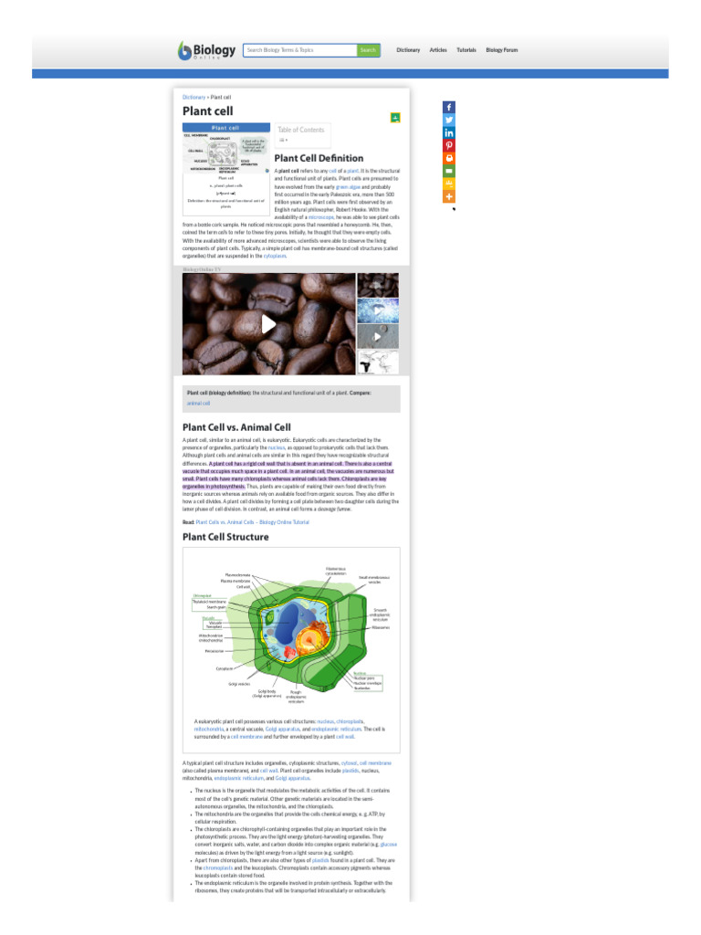 WWW Biologyonline Com Dictionary Plant Cell - Text A 20plant 20cell ...