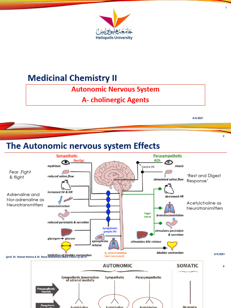 1 Lec 1-Parasympathetic Agents | PDF | Acetylcholine | Pharmacology