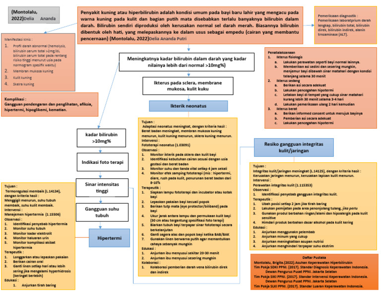 Woc Hiperbilirubin | PDF