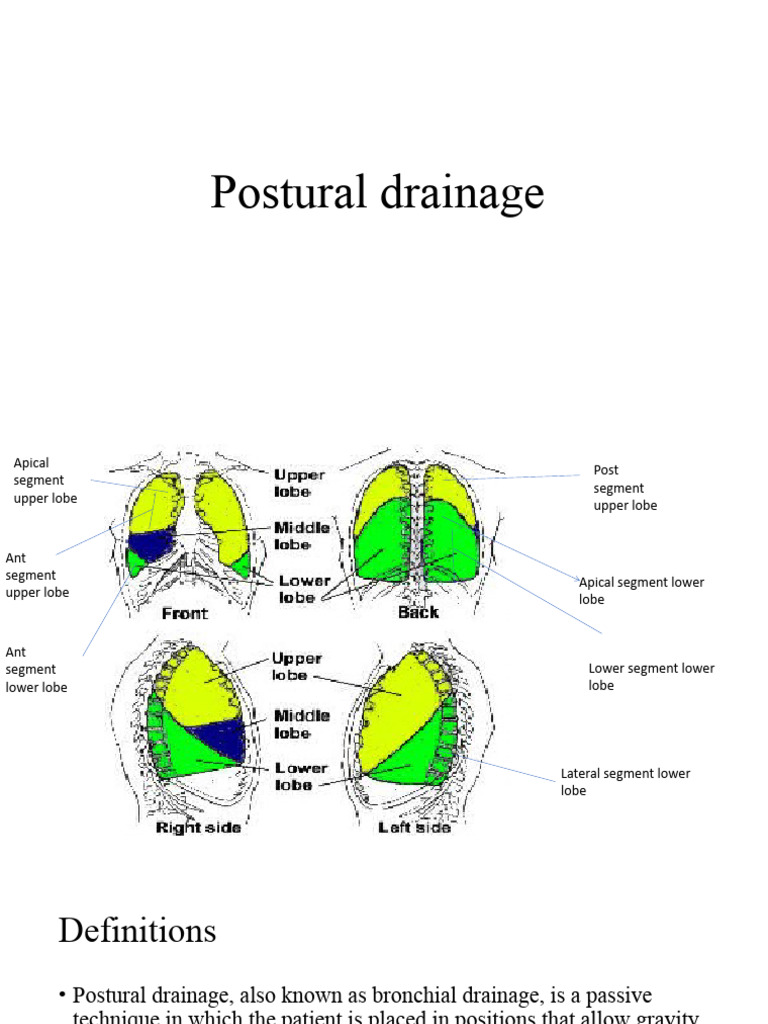 Postural Drainage Techniques for Bronchiectasis | PDF | Lung | Cough