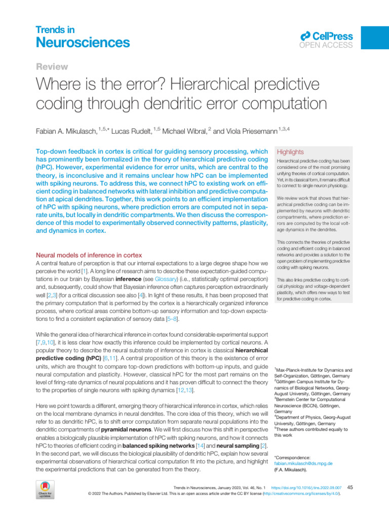 Mikulasch22 Predictivecoding | PDF | Dendrite | Pyramidal Cell