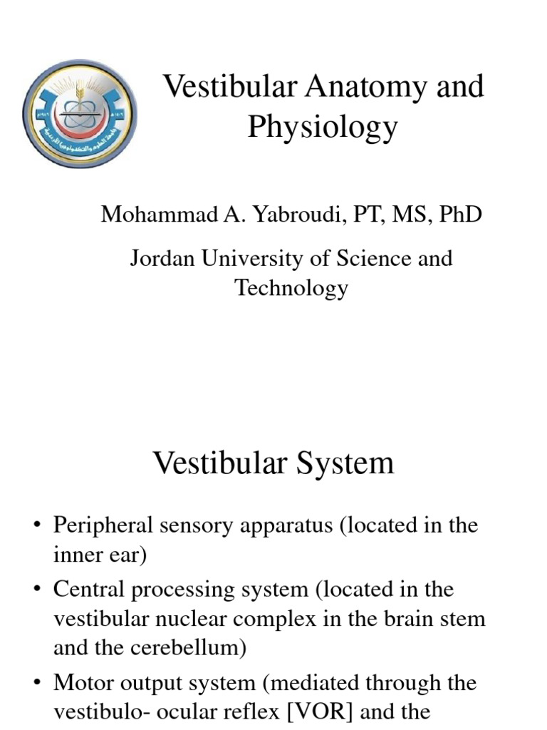Vestibular Lecture - Anatomy - Physiology | PDF | Vestibular System ...