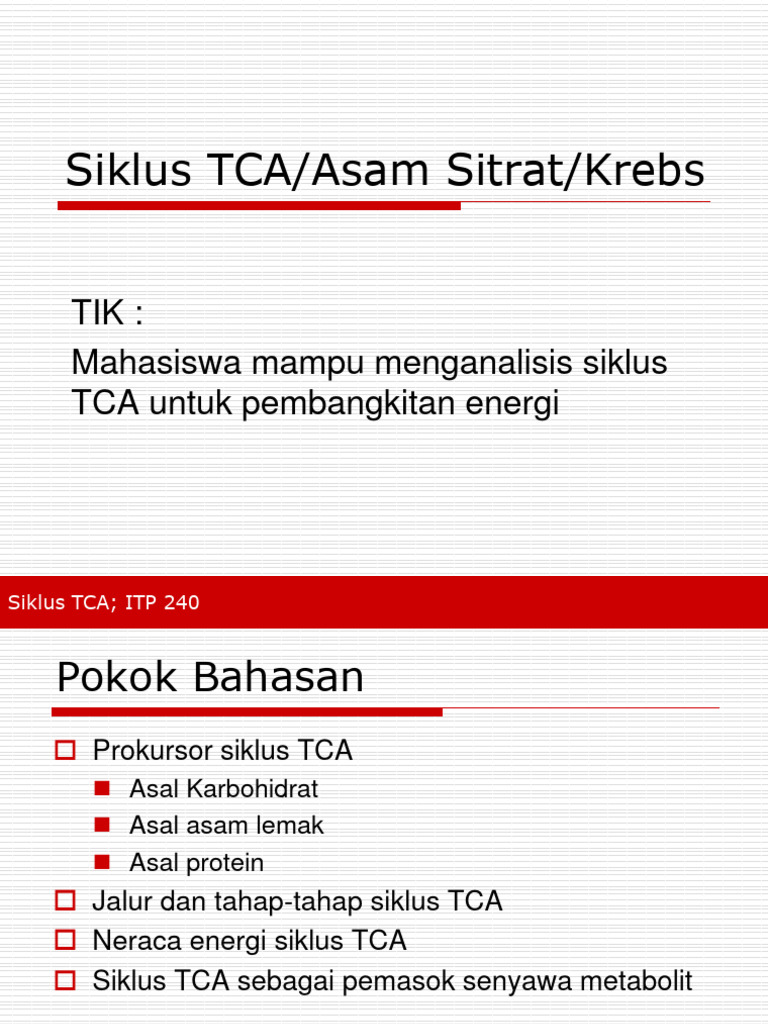Siklus Krebs pfhxn7741 | PDF