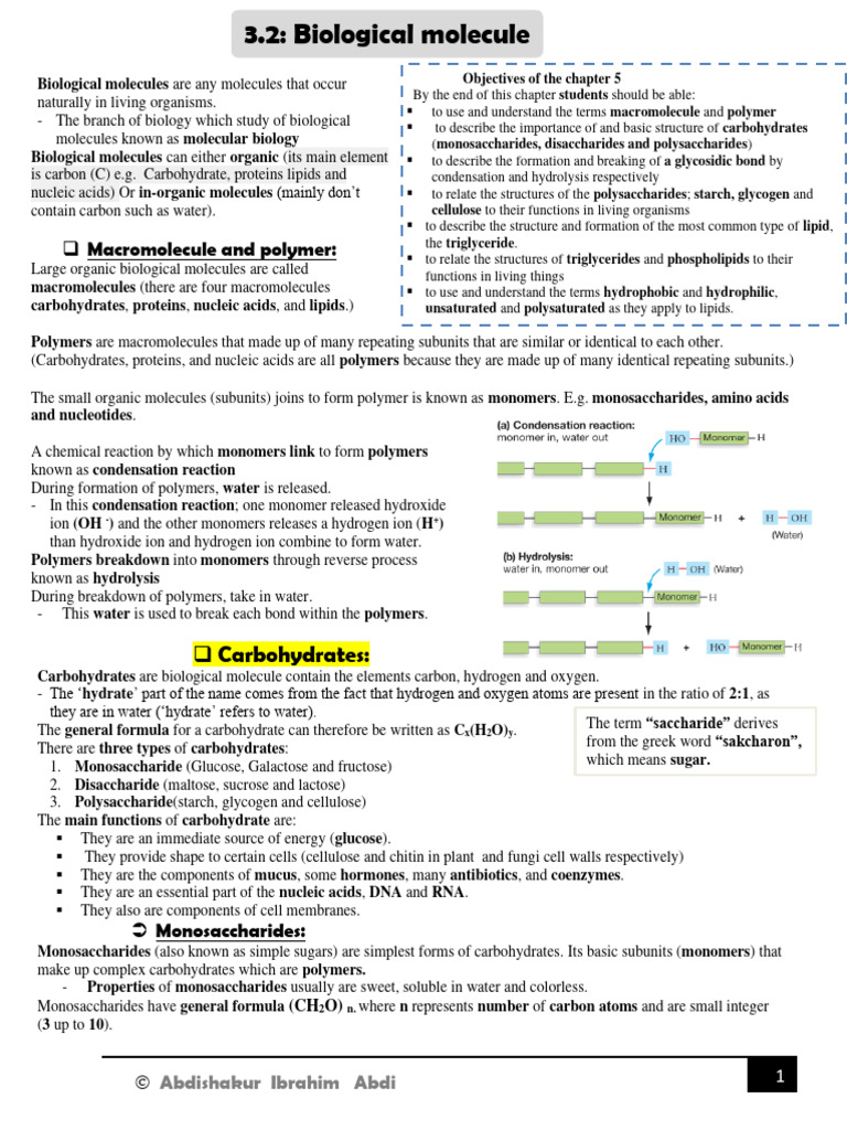 Biological Molecules | PDF | Carbohydrates | Amino Acid