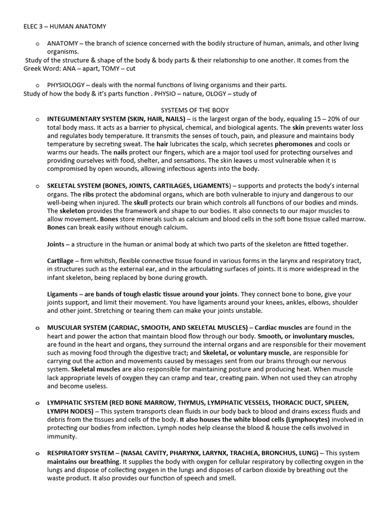 Anatomy Notes | PDF | Human Body | Lymphatic System