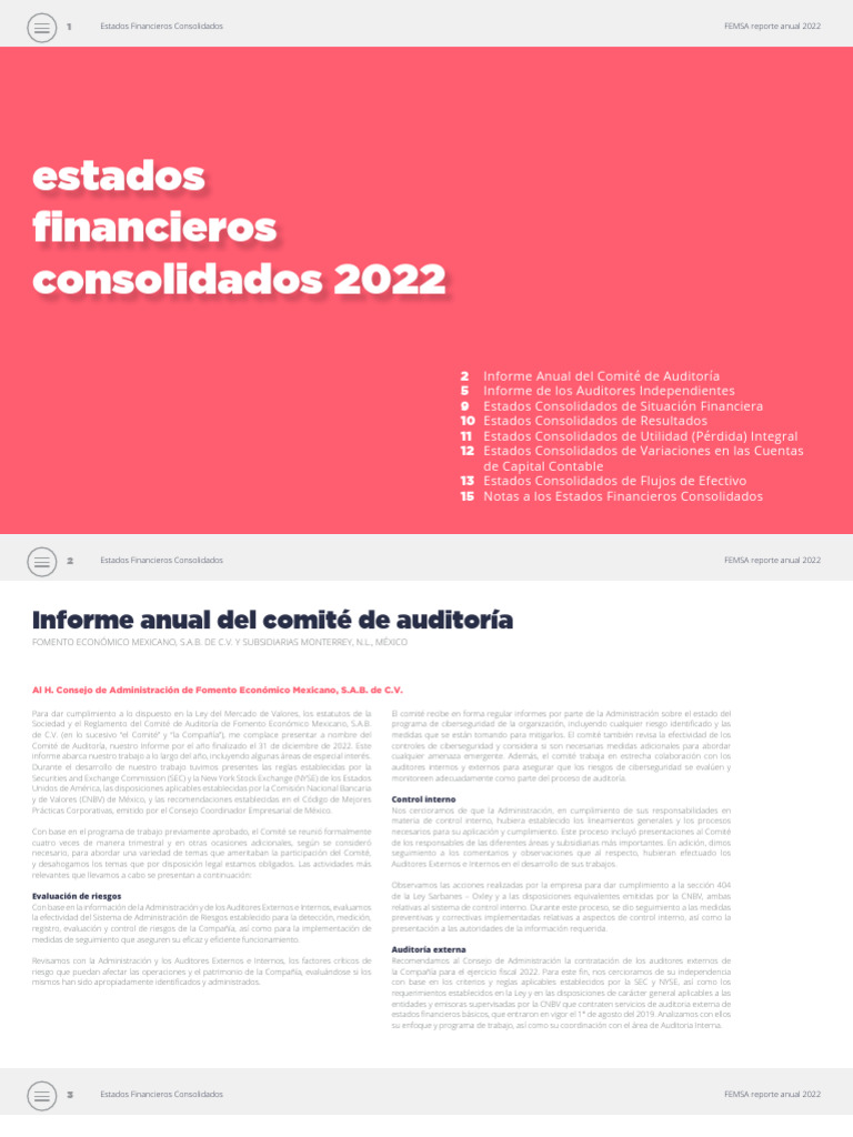 Estados Financieros 2022 Pdf Auditoría Estado Financiero