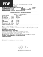 Modelo Laudo Ecg PDF | PDF