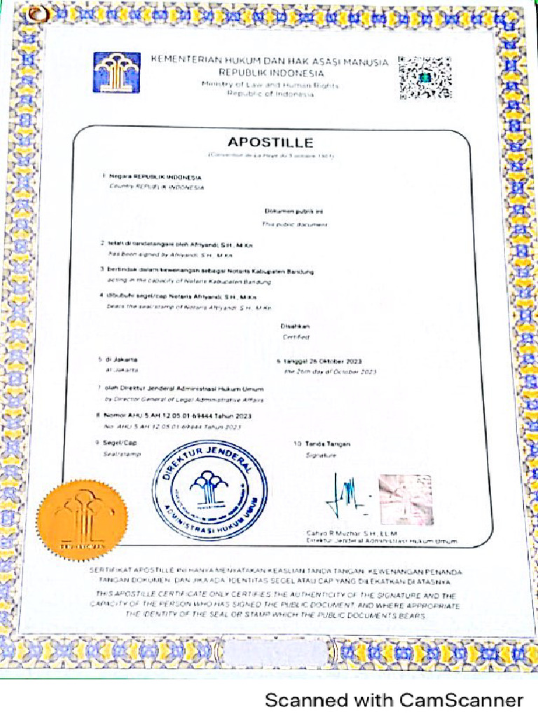 Apostille Transcript BSN Dina | PDF