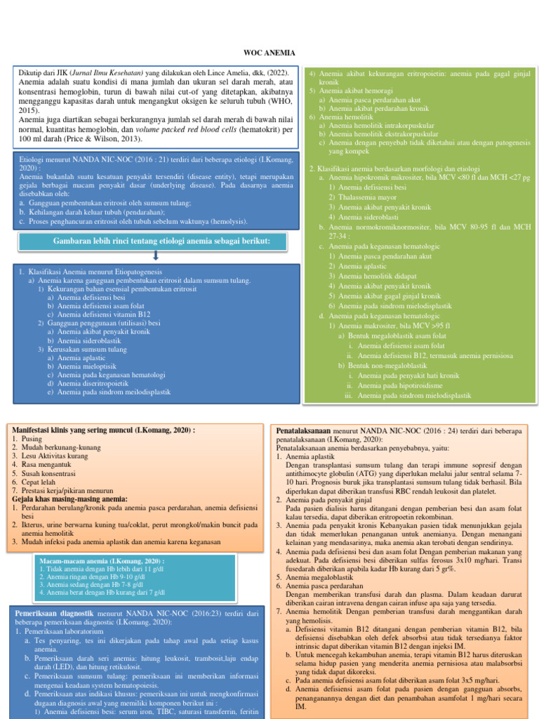 Woc Anemia | PDF