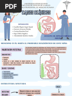 Grados de Evisceración Abdominal | PDF | Abdomen | Especialidades Medicas