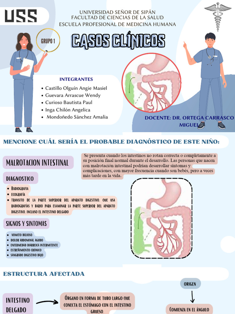 Malrotacion Intestinal - Grupo 01 | PDF | Tracto gastrointestinal ...