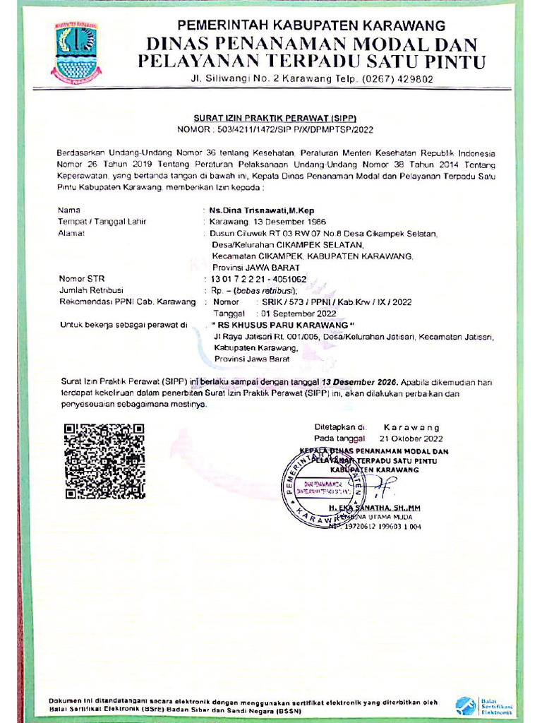 SIPP M.Kep Dina | PDF